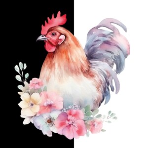 Cute Chicken Watercolor Clipart, Chicken PNG, Chickens Clip Art ...