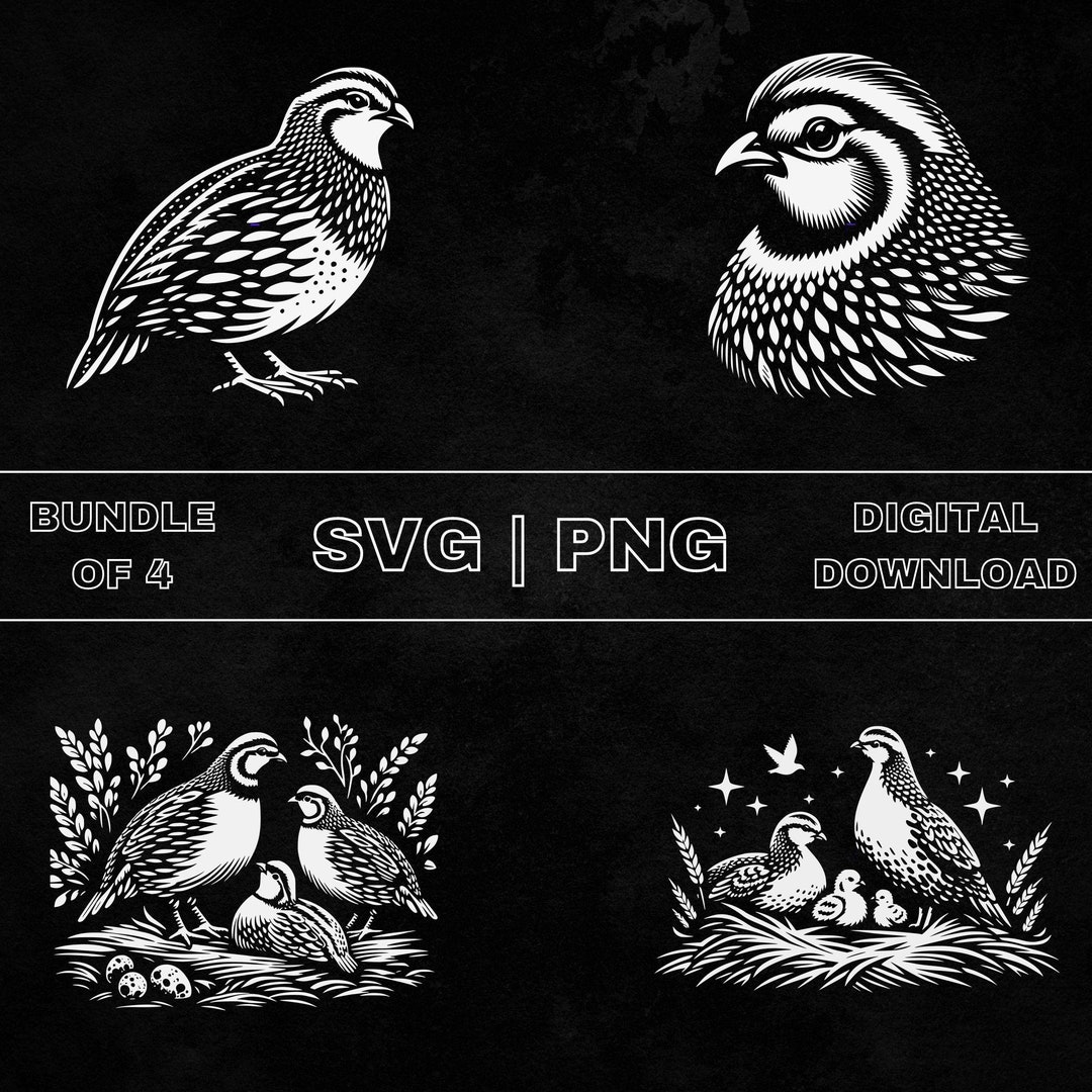 Quail SVG Bundle, Quail Scene Clipart, Hand Drawn Quail Bird Theme ...