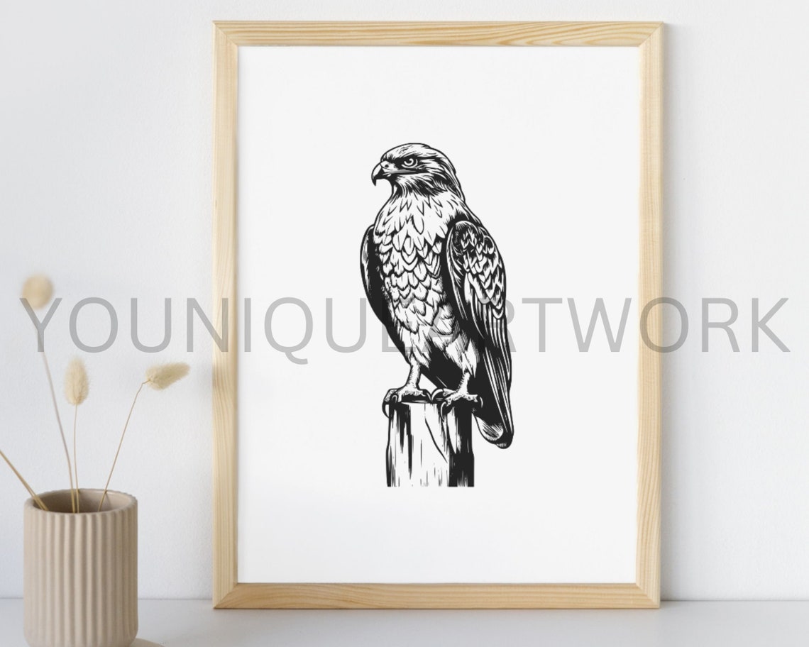 Falcon SVG Bundle PNG Falcon Clipart Hand Drawn Falcons - Etsy