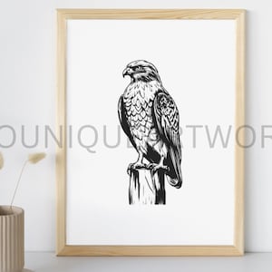 Falcon SVG Bundle, PNG, Falcon Clipart, Hand Drawn Falcons Vector ...