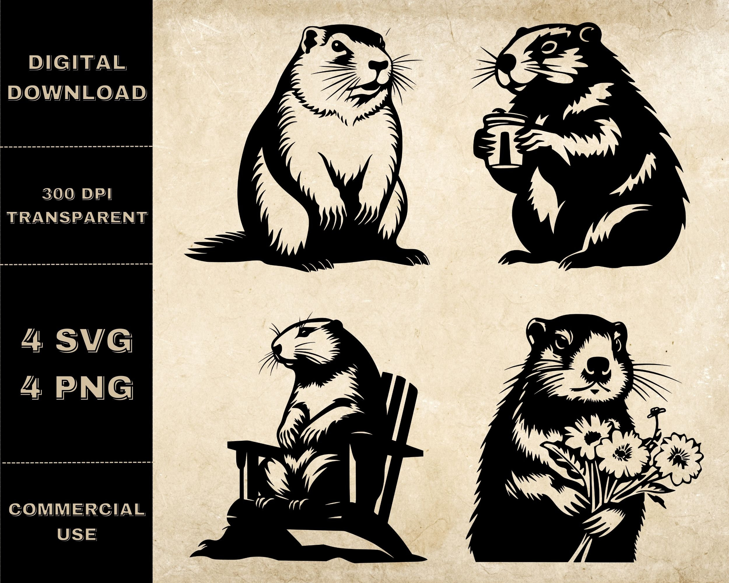 Groundhog SVG Bundle, PNG, Woodchuck Clipart, Hand Drawn Groundhog ...