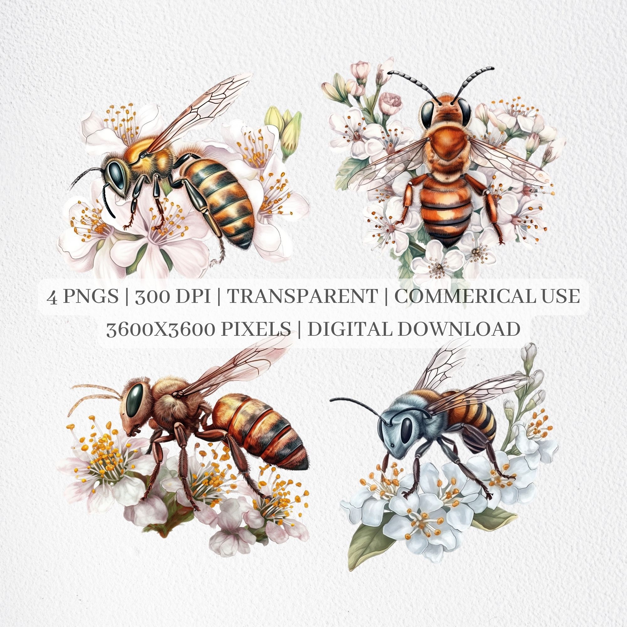 Floral Hornet Clipart Hornet PNG Files for Sublimation - Etsy Australia