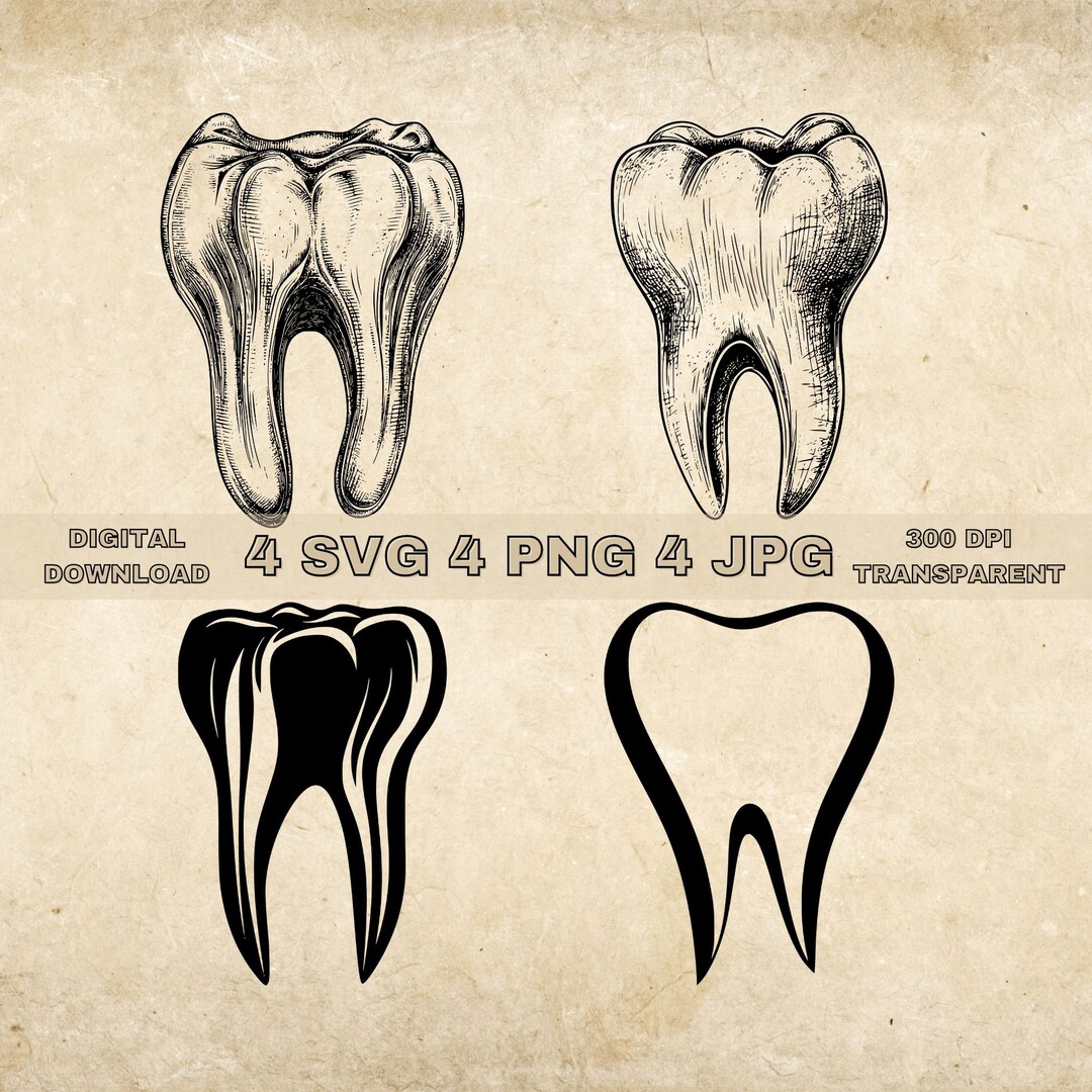 Tooth SVG Bundle, PNG, Dental Care Clipart, Hand Drawn Tooth Vector ...