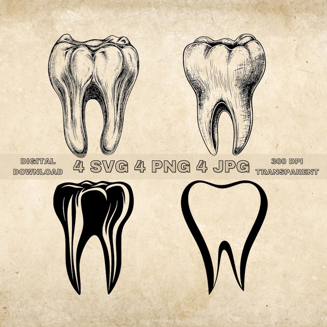 Tooth SVG Bundle PNG Dental Care Clipart Hand Drawn Tooth - Etsy