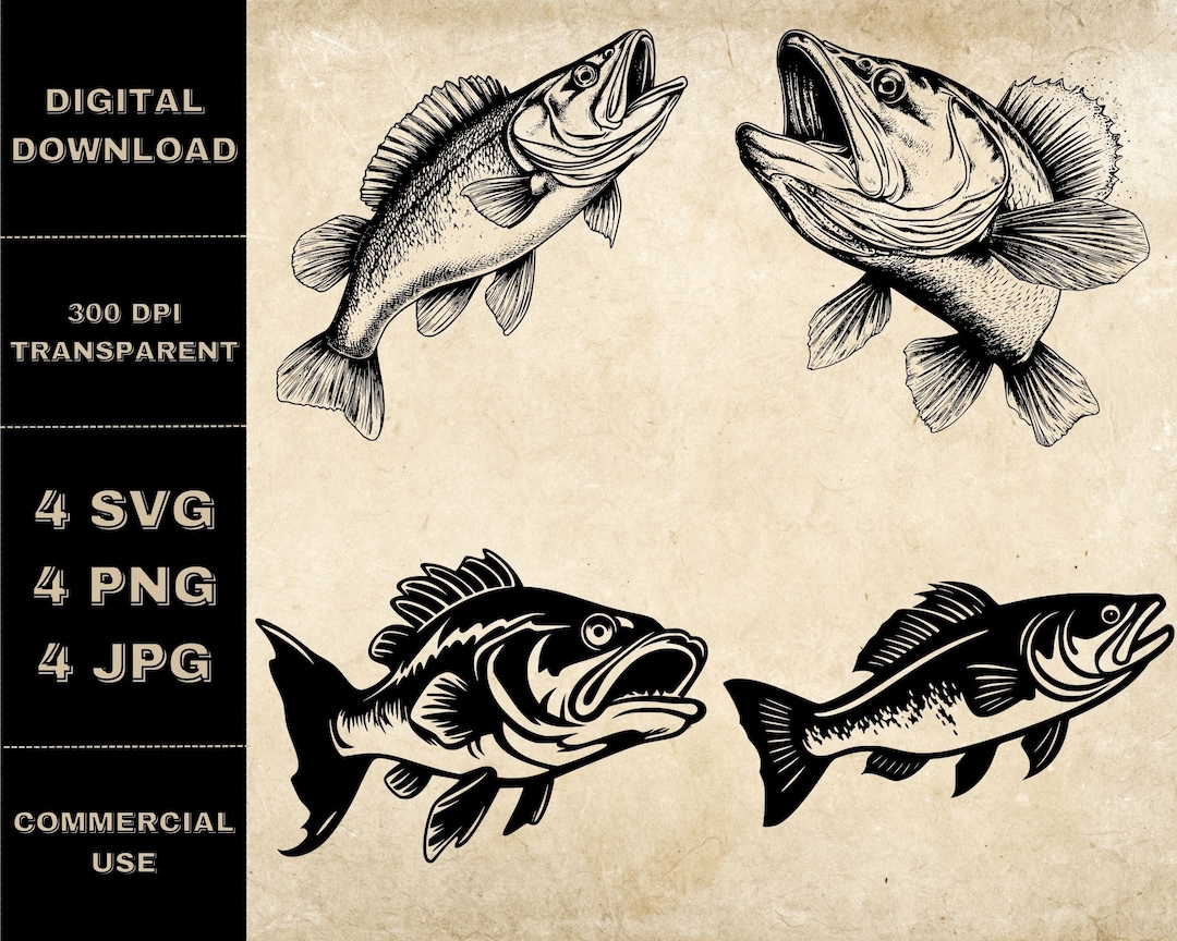 Walleye Fish SVG Bundle, PNG, Fishing Clipart, Hand Drawn Walleye ...