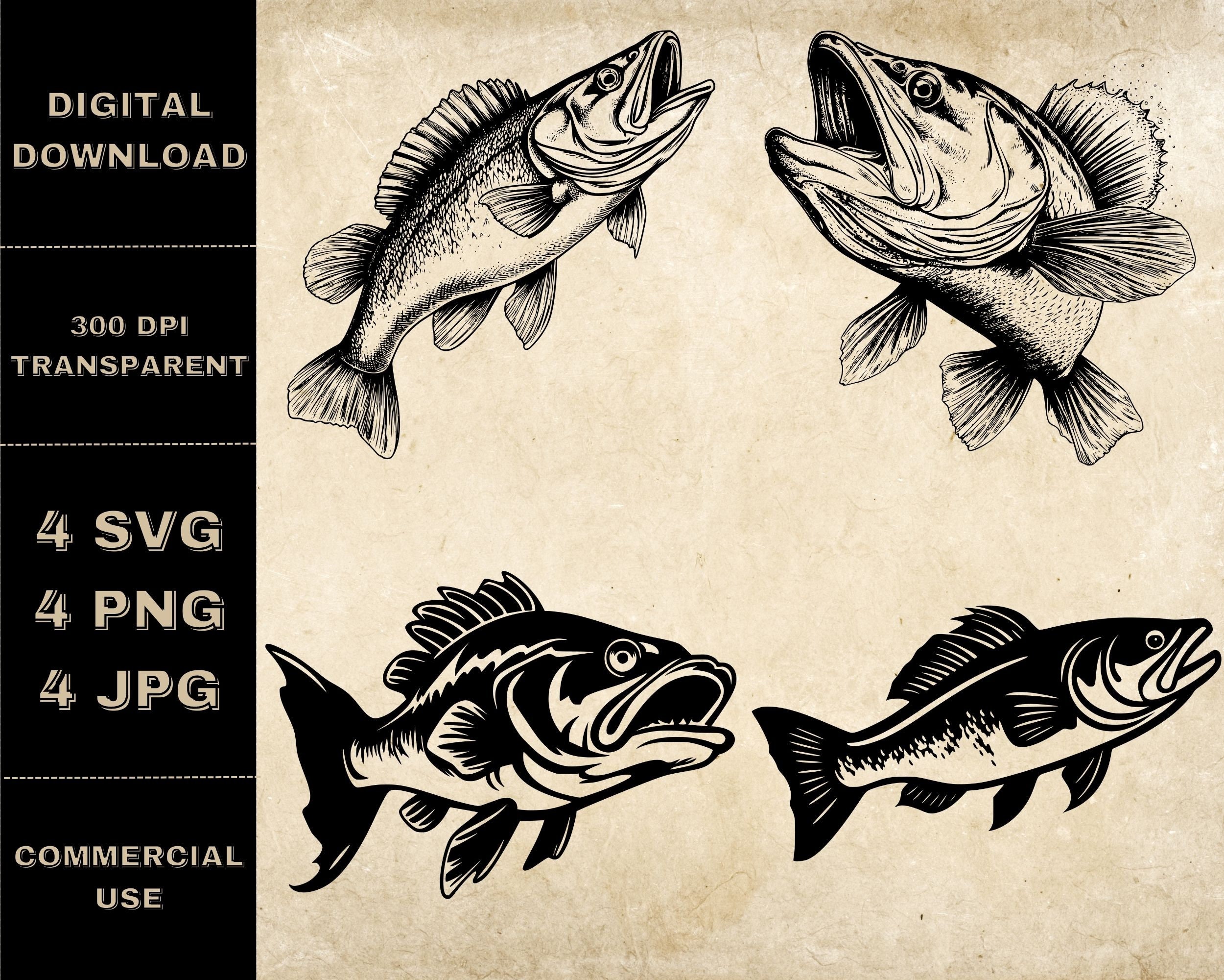 Walleye Fish SVG Bundle, PNG, Fishing Clipart, Hand Drawn Walleye ...