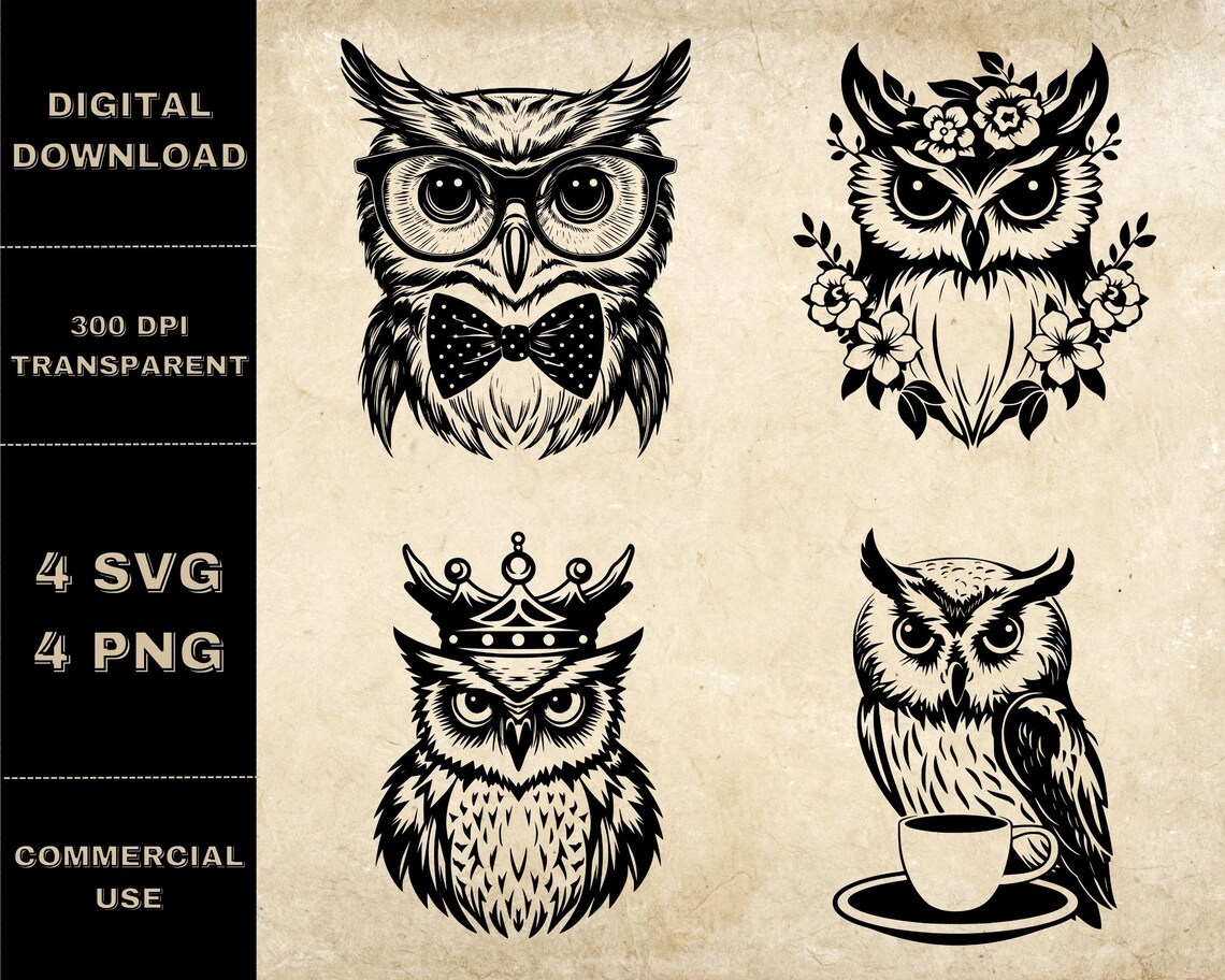 Cute Owl SVG Bundle, PNG, Owl Clipart, Hand Drawn Owl Vector ...