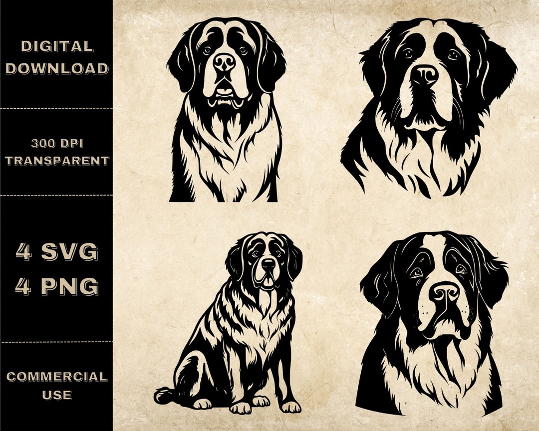 St. Bernard SVG Bundle, PNG, Saint Bernard Clipart, Hand Drawn Dog Face ...