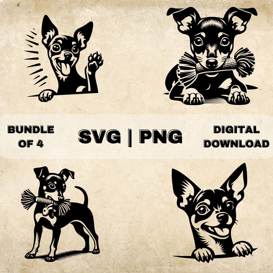 Miniature Pinscher SVG Bundle, Mini Pinscher Clipart, Hand Drawn Dog ...