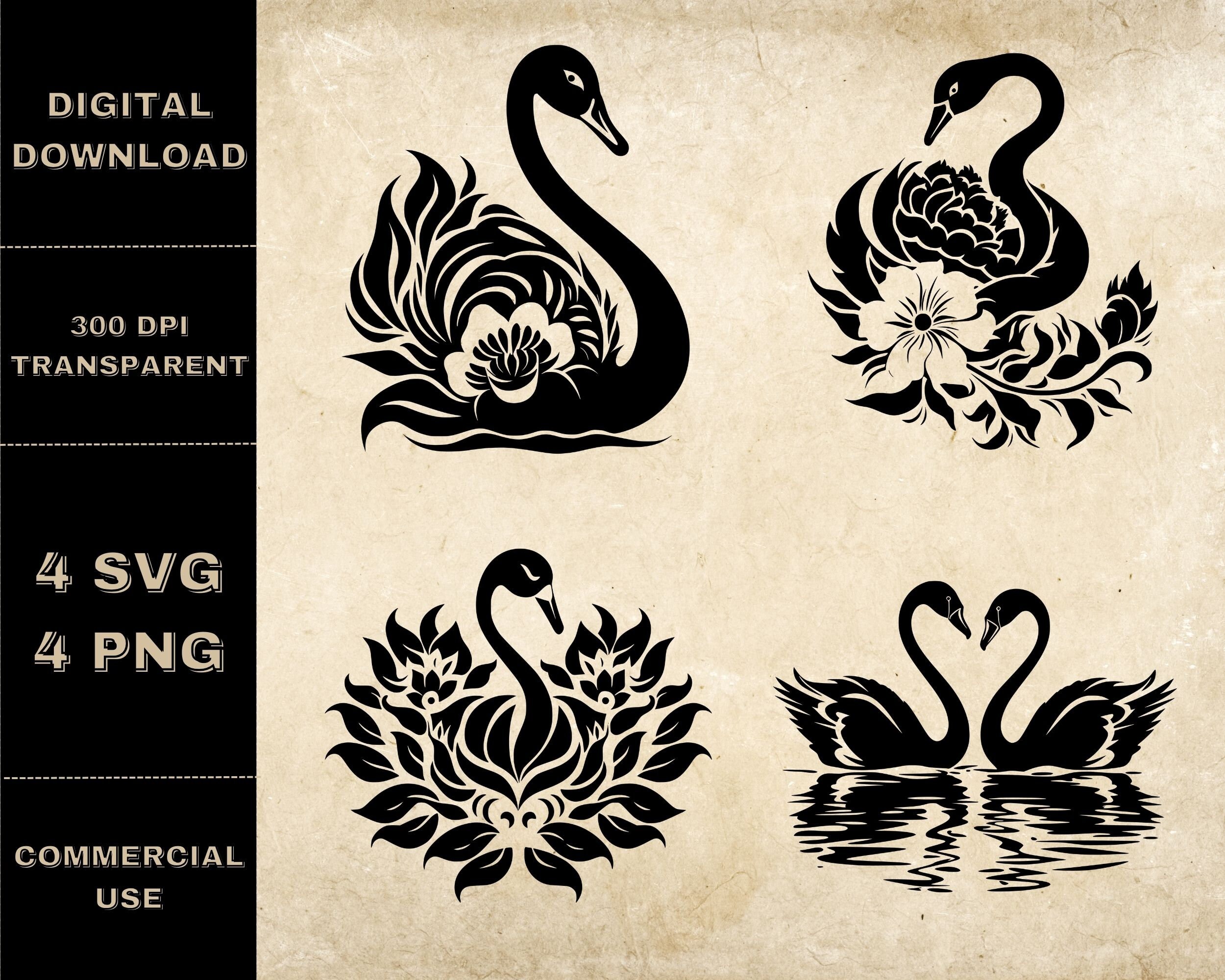 Swan SVG Bundle PNG Swan With Flowers Clipart Hand Drawn - Etsy