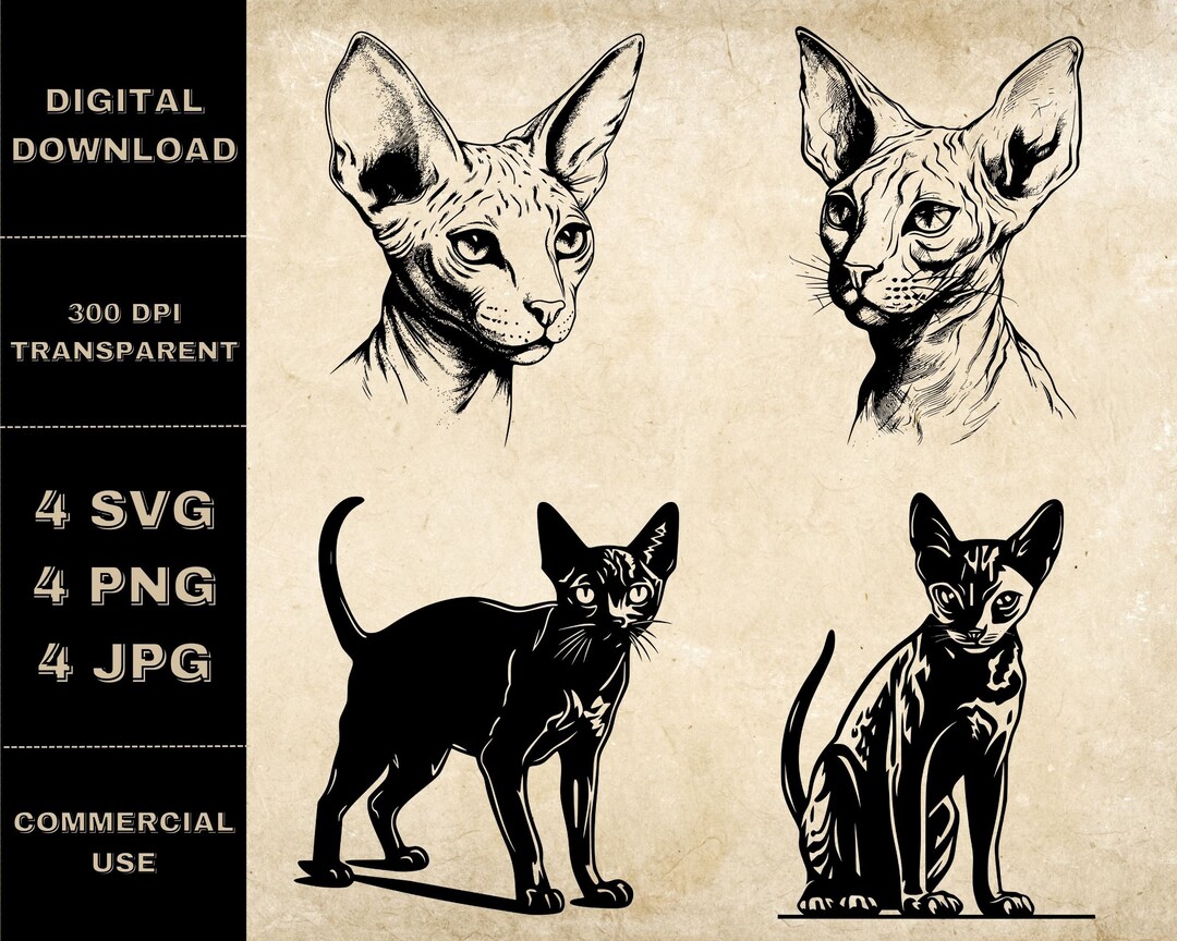 Sphynx Cat SVG Bundle, PNG, Sphynx Cat Clipart, Hand Drawn Cat Vector ...