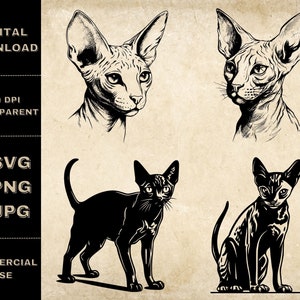 Sphynx Cat SVG Bundle, PNG, Sphynx Cat Clipart, Hand Drawn Cat Vector ...