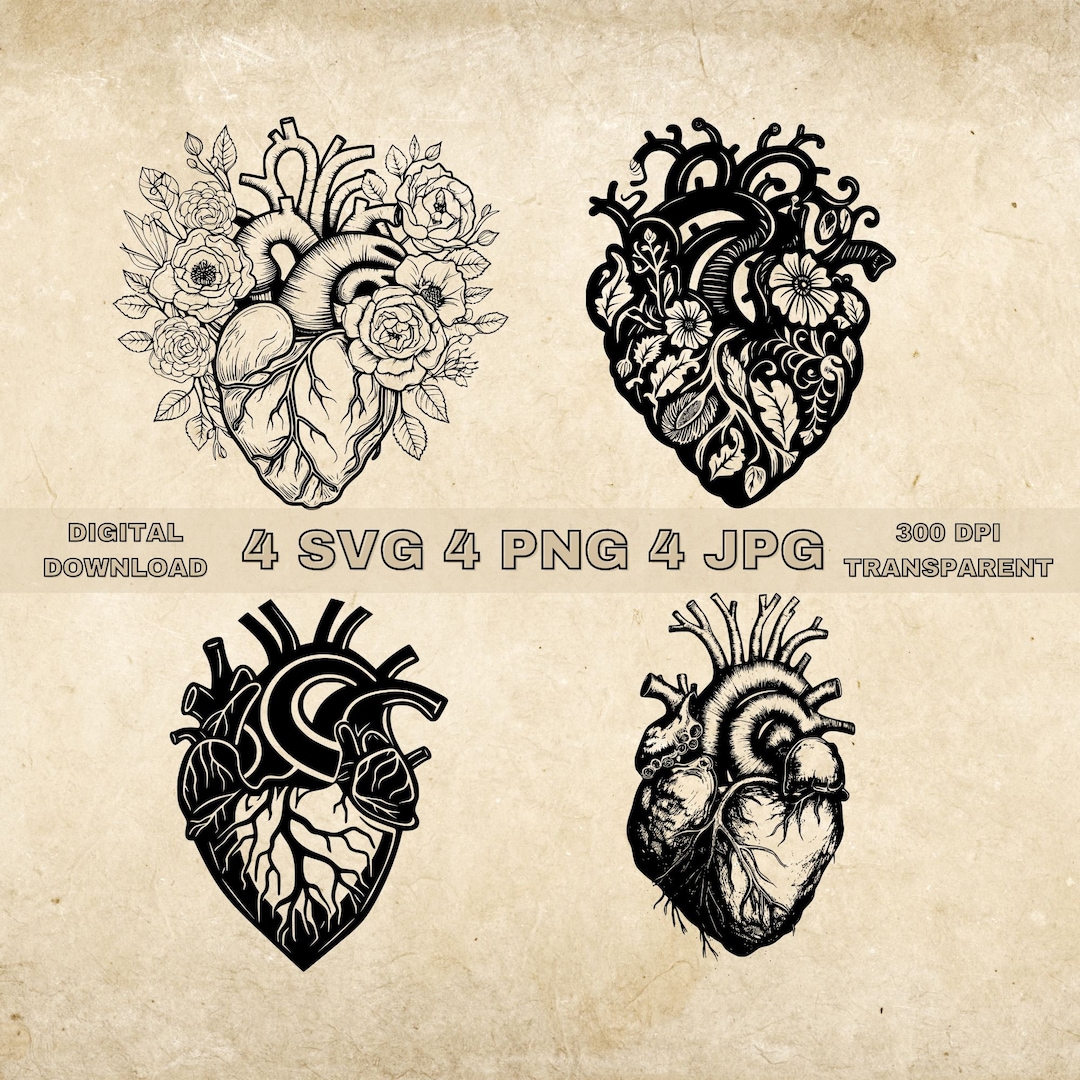 Anatomical Heart SVG Bundle, PNG, Anatomical Heart Clipart, Hand Drawn ...