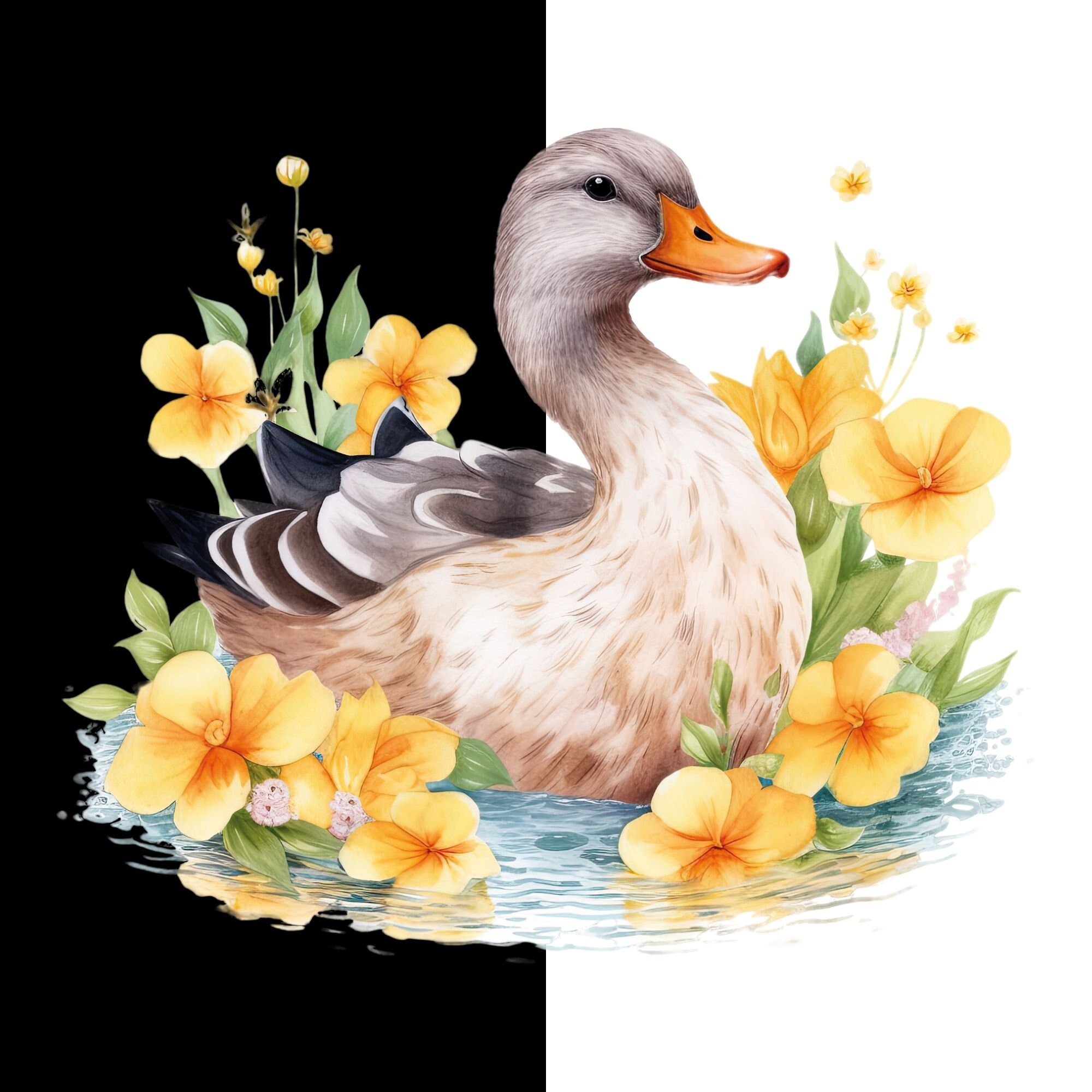 Cute Duck Clipart Duck PNG Files for Sublimation Ducks Clip - Etsy UK