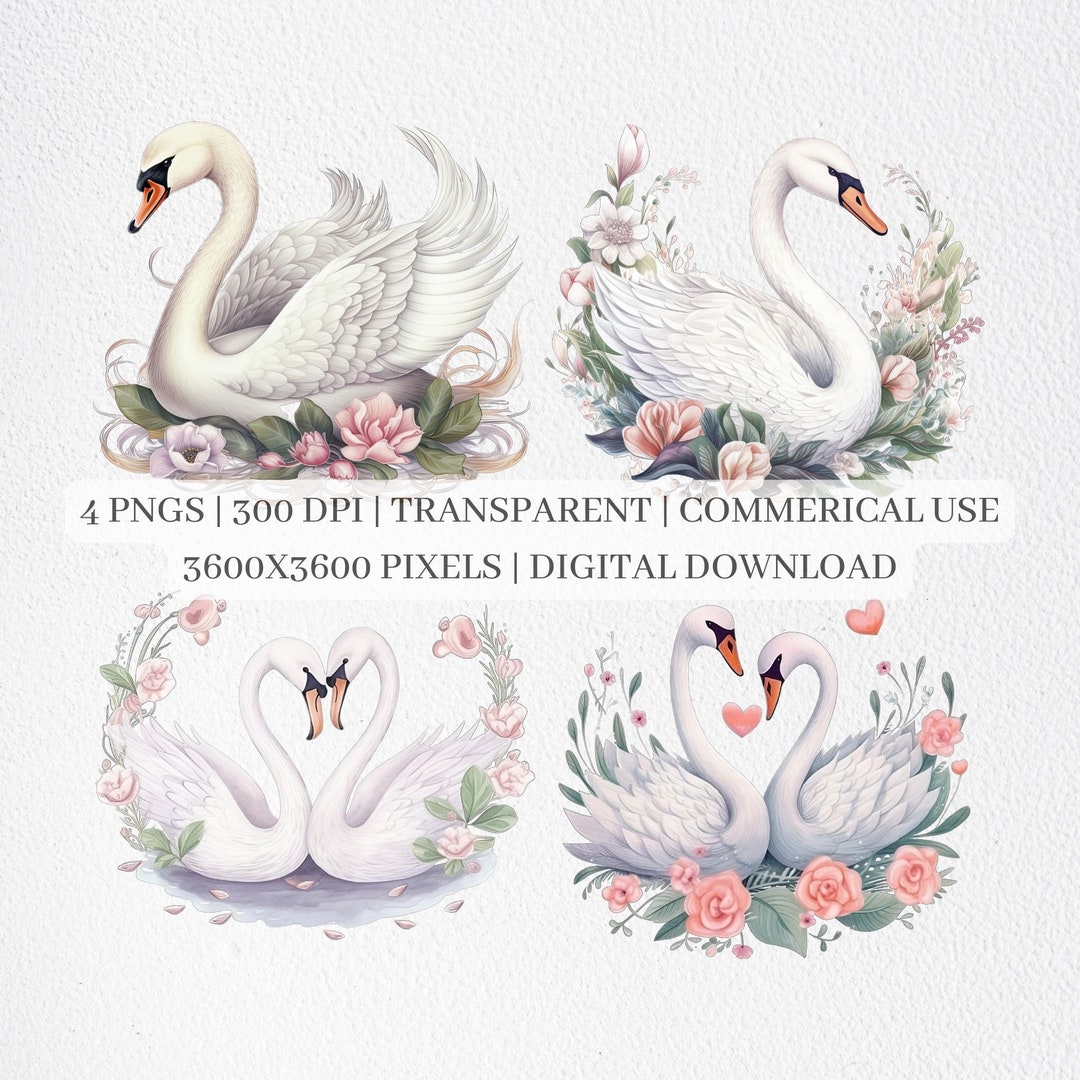 Cute Swan Clipart, Watercolor Swans PNG Files for Sublimation, Nursery ...