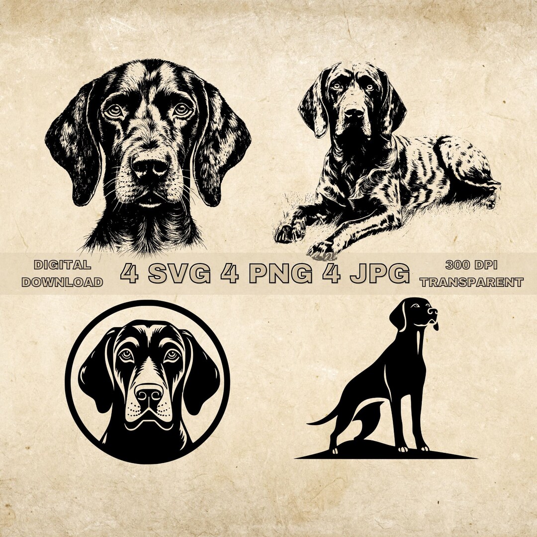 German Shorthaired Pointer SVG Bundle, PNG, Cute Dogs Clipart, Hand ...