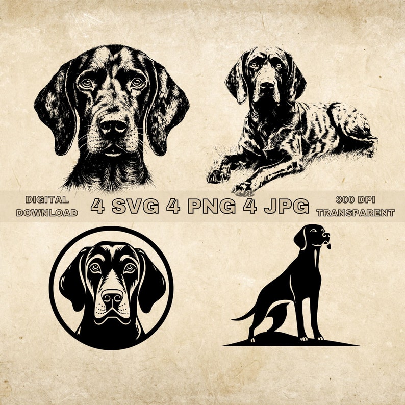 German Shorthaired Pointer SVG Bundle PNG Cute Dogs Clipart - Etsy