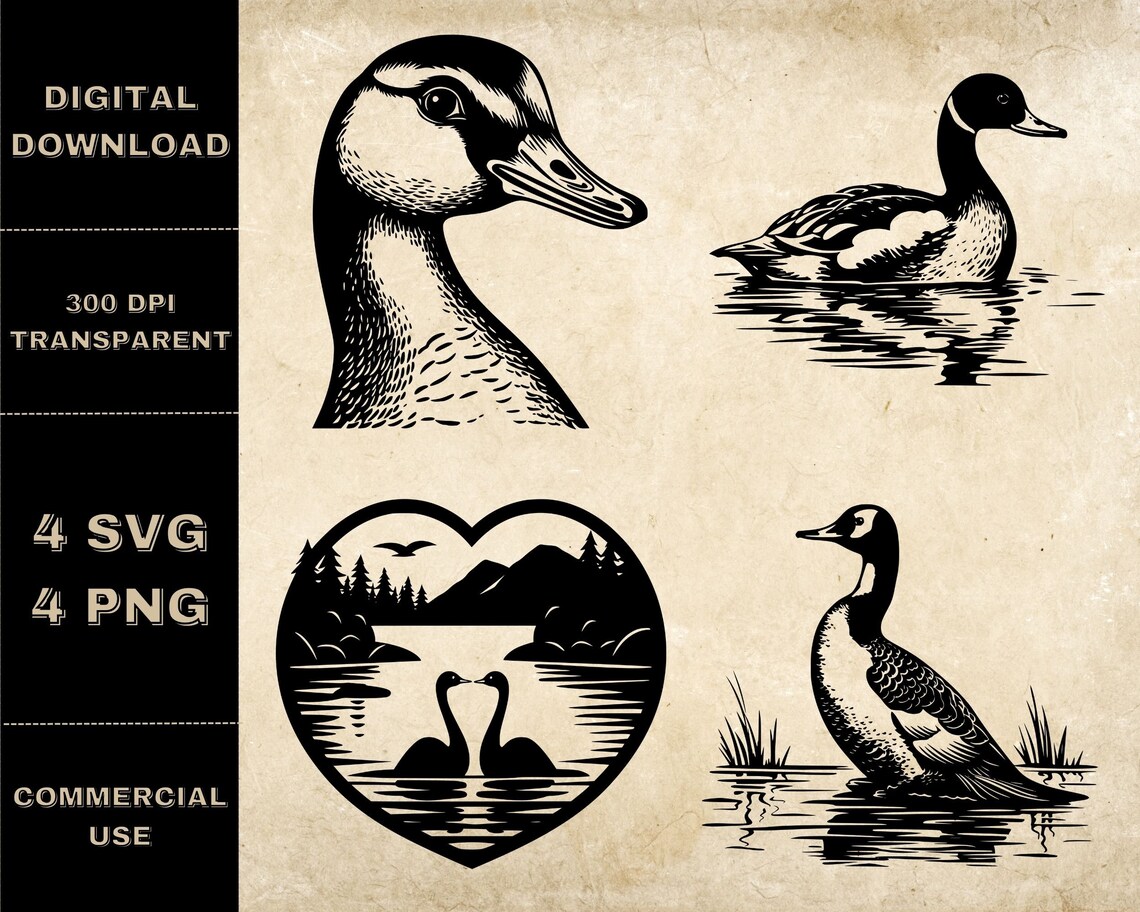 Loon SVG Bundle PNG Loon Clipart Hand Drawn Loon Vector - Etsy