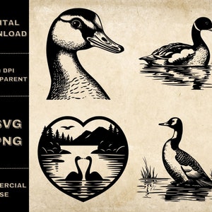 Loon SVG Bundle, PNG, Loon Clipart, Hand Drawn Loon Vector Illustration ...