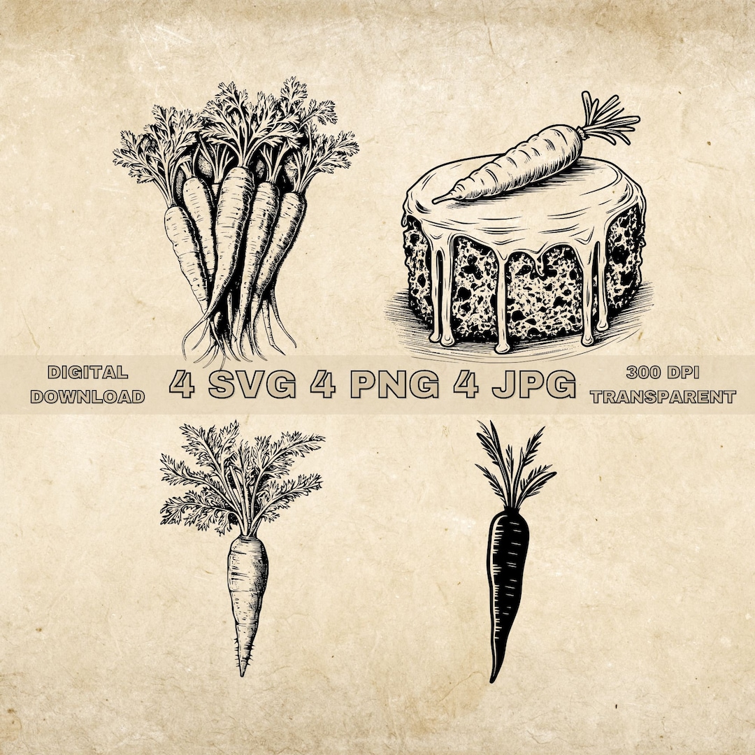 Carrot SVG Bundle, PNG, Carrot Clipart, Hand Drawn Carrot Vector ...