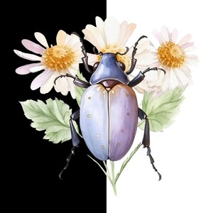 Cute Beetle Clipart, Watercolor Insects PNG Files, Bugs Clip Art ...