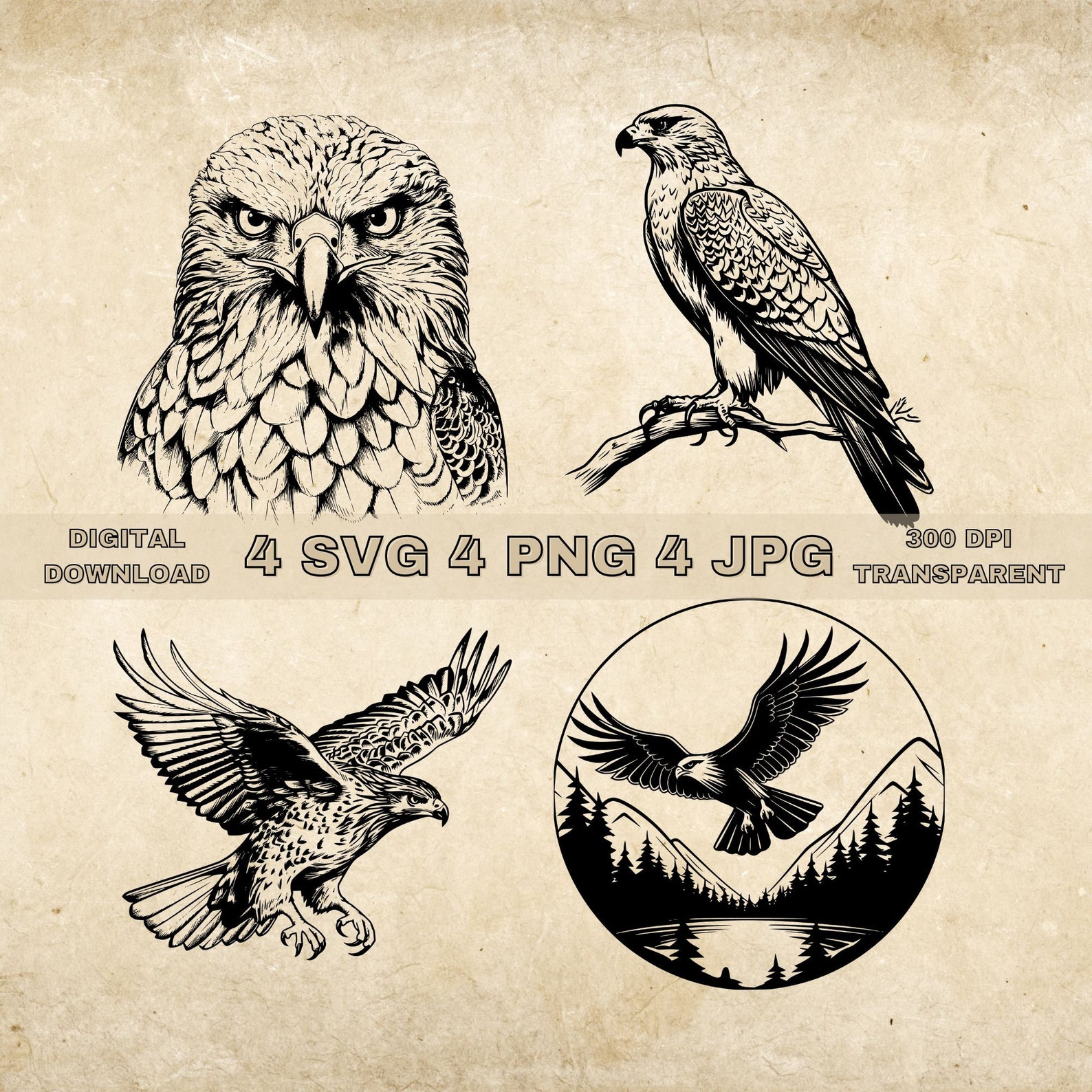 Hawk SVG Bundle, PNG, Hawk Clipart, Hand Drawn Hawks Vector ...