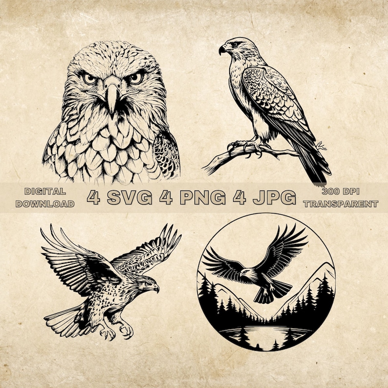Hawk SVG Bundle, PNG, Hawk Clipart, Hand Drawn Hawks Vector ...