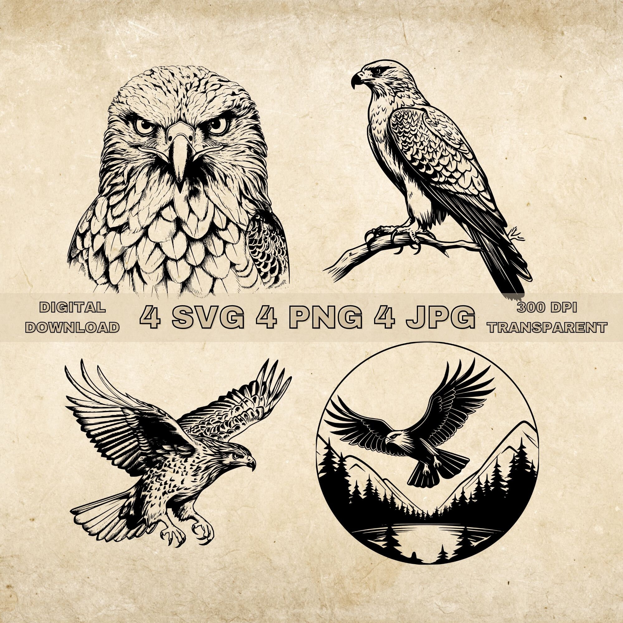 Hawk SVG Bundle, PNG, Hawk Clipart, Hand Drawn Hawks Vector ...