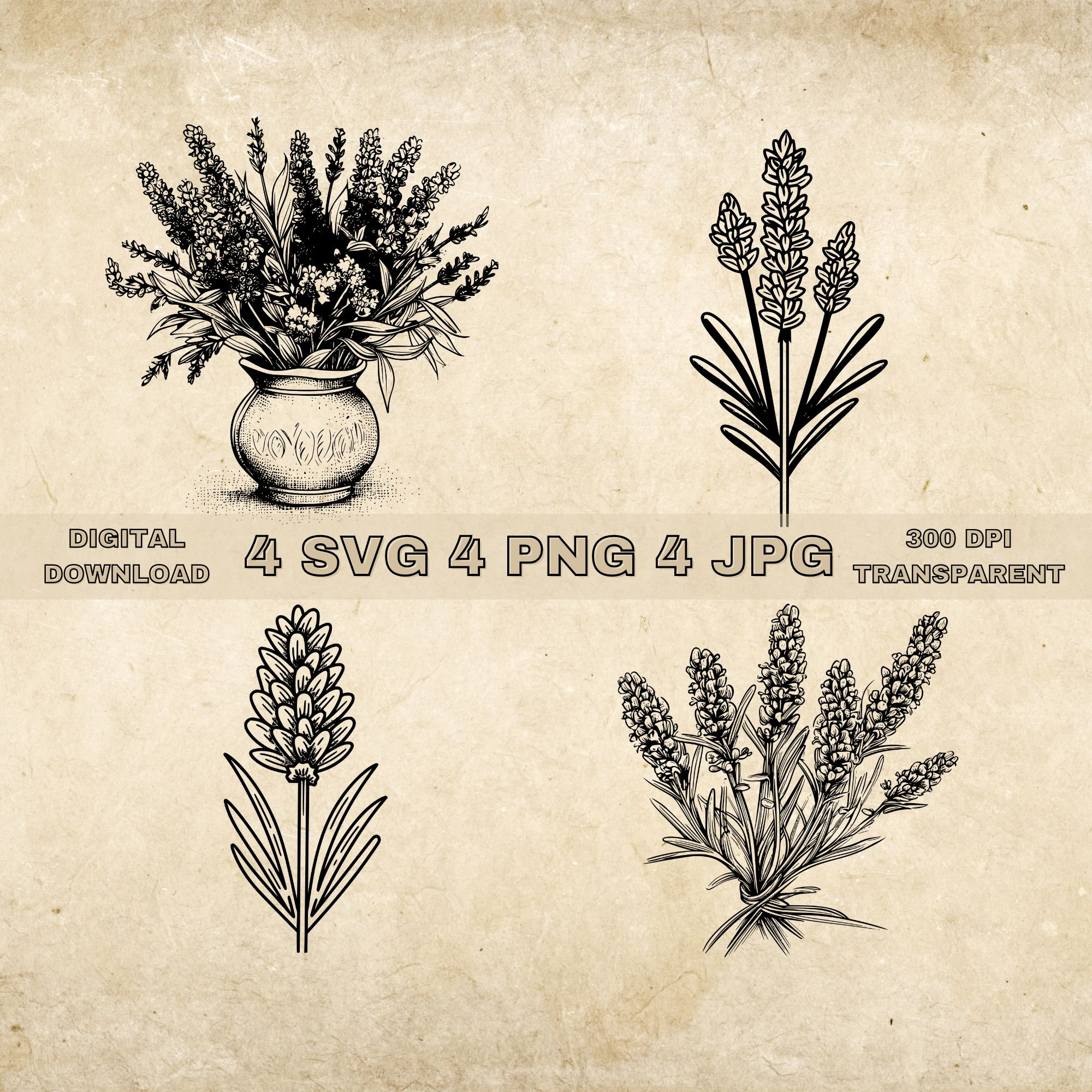 Lavender SVG Bundle PNG Flowers Clipart Hand Drawn - Etsy