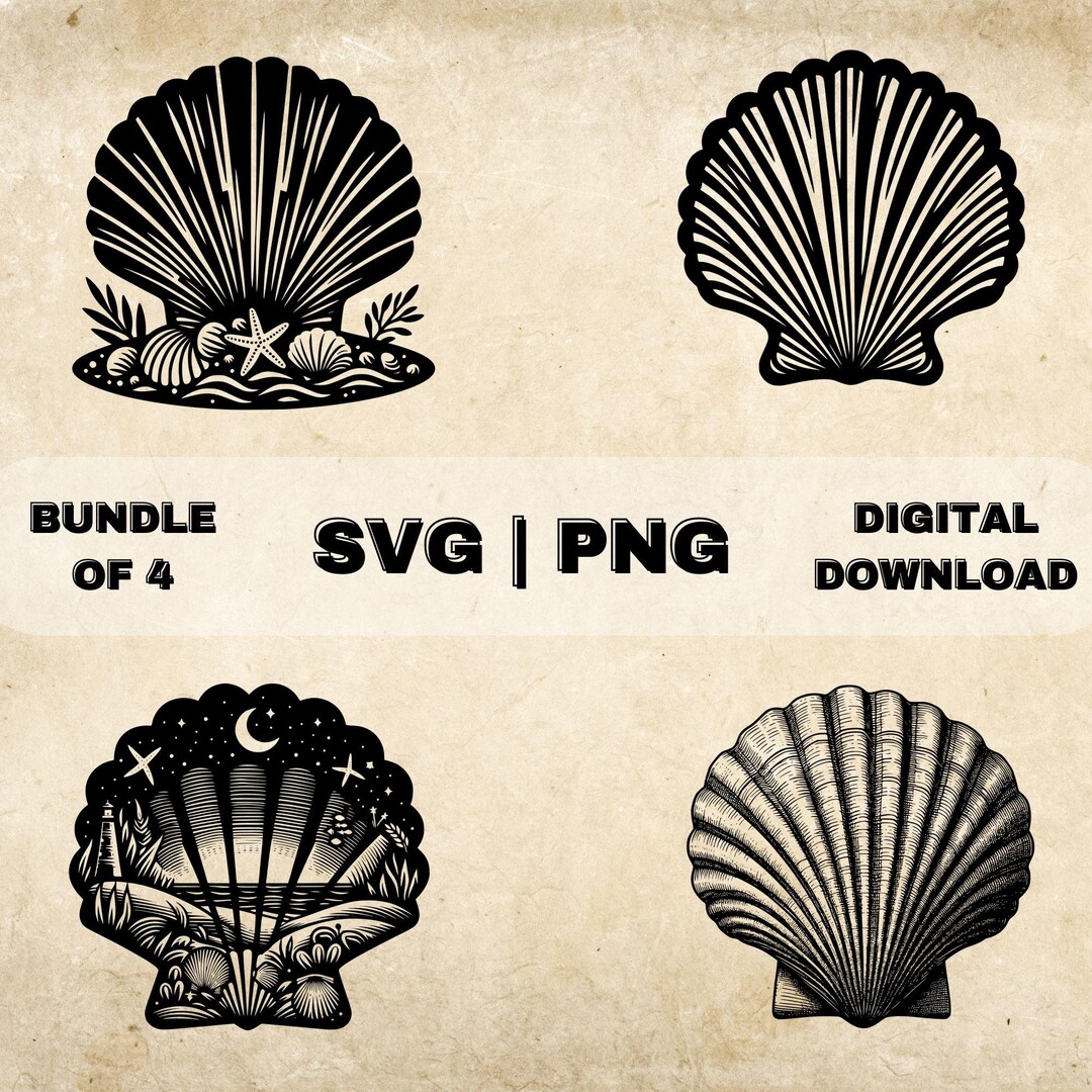 Scallop Shell SVG Bundle, Sea Shell Clipart, Hand Drawn Marine Coastal ...