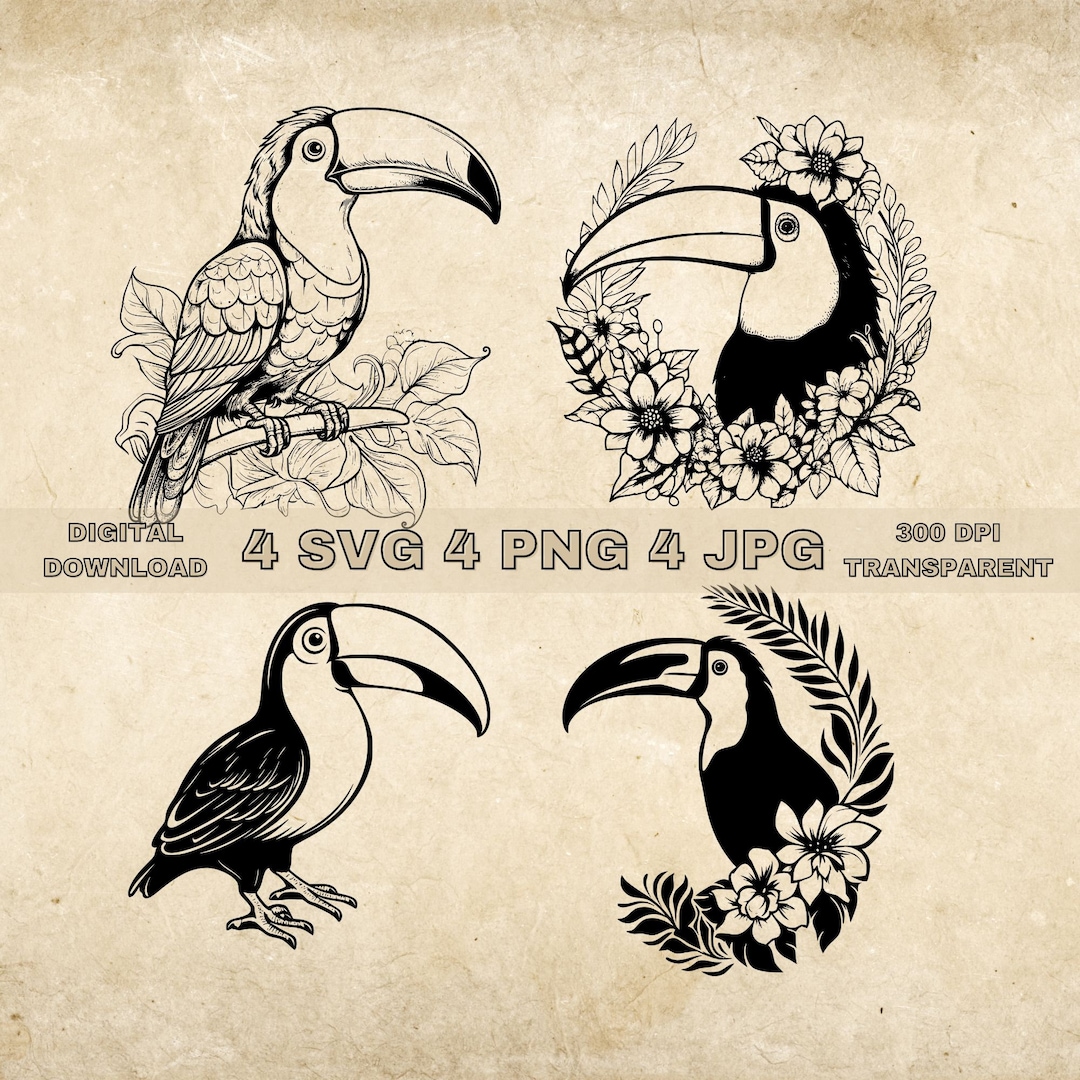 Toucan SVG Bundle, PNG, Toucan Clipart, Hand Drawn Exotic Bird Vector ...