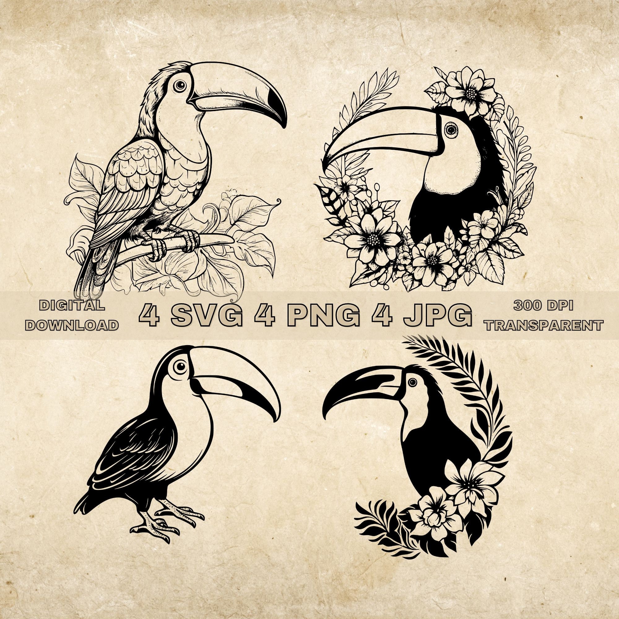 Toucan SVG Bundle PNG Toucan Clipart Hand Drawn Exotic Bird - Etsy