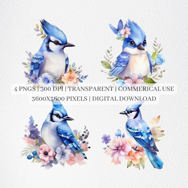 Blue Jay Urn - Etsy