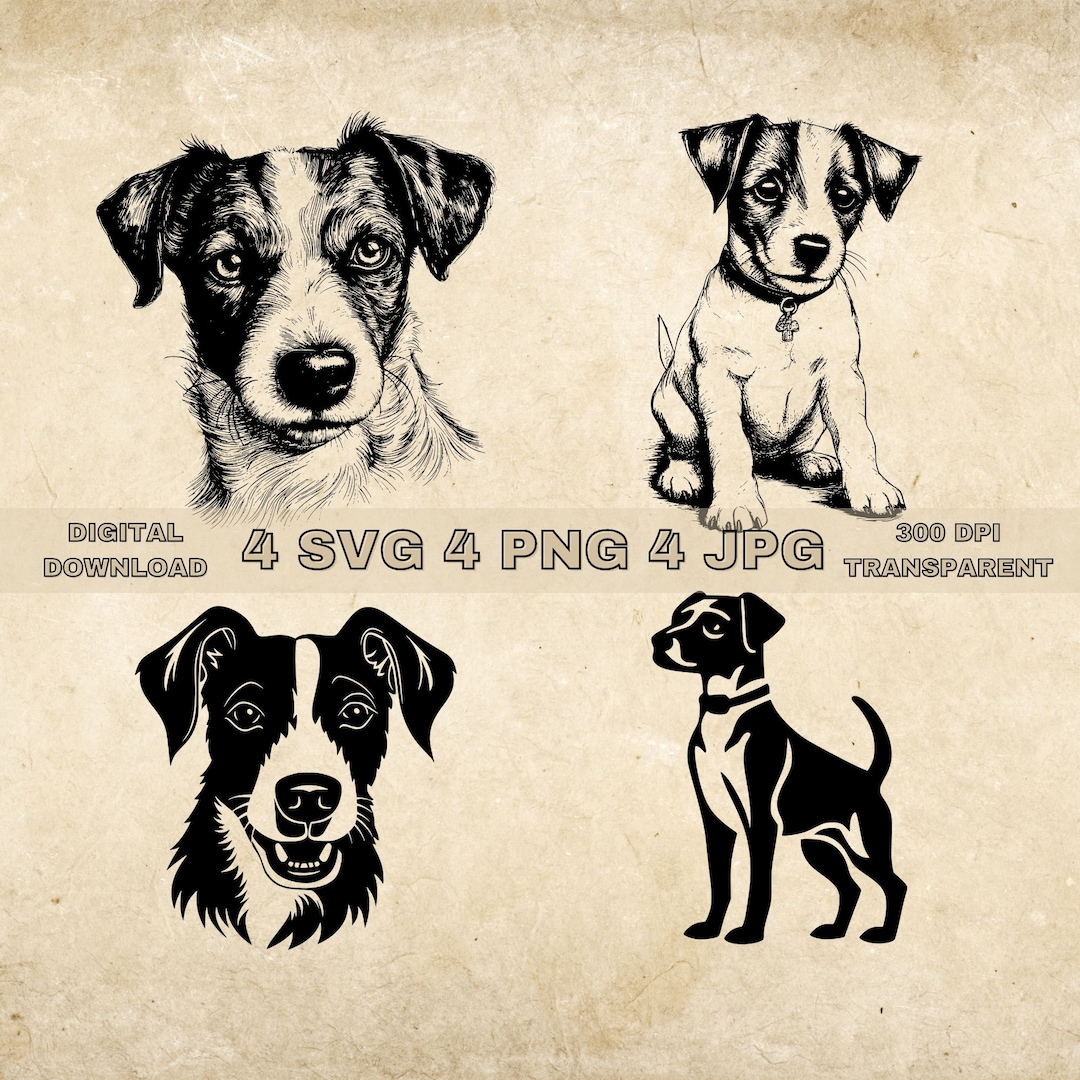 Jack Russell Terrier SVG Bundle, PNG, Dogs Clipart, Hand Drawn Dog ...