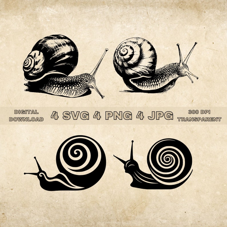 Snail SVG Bundle PNG Snail Clipart Hand Drawn Snails Vector - Etsy