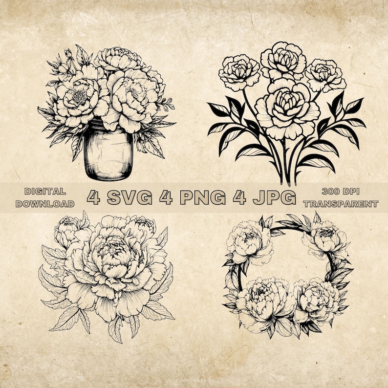 Peony SVG Bundle PNG Flowers Clipart Cut Files Floral - Etsy