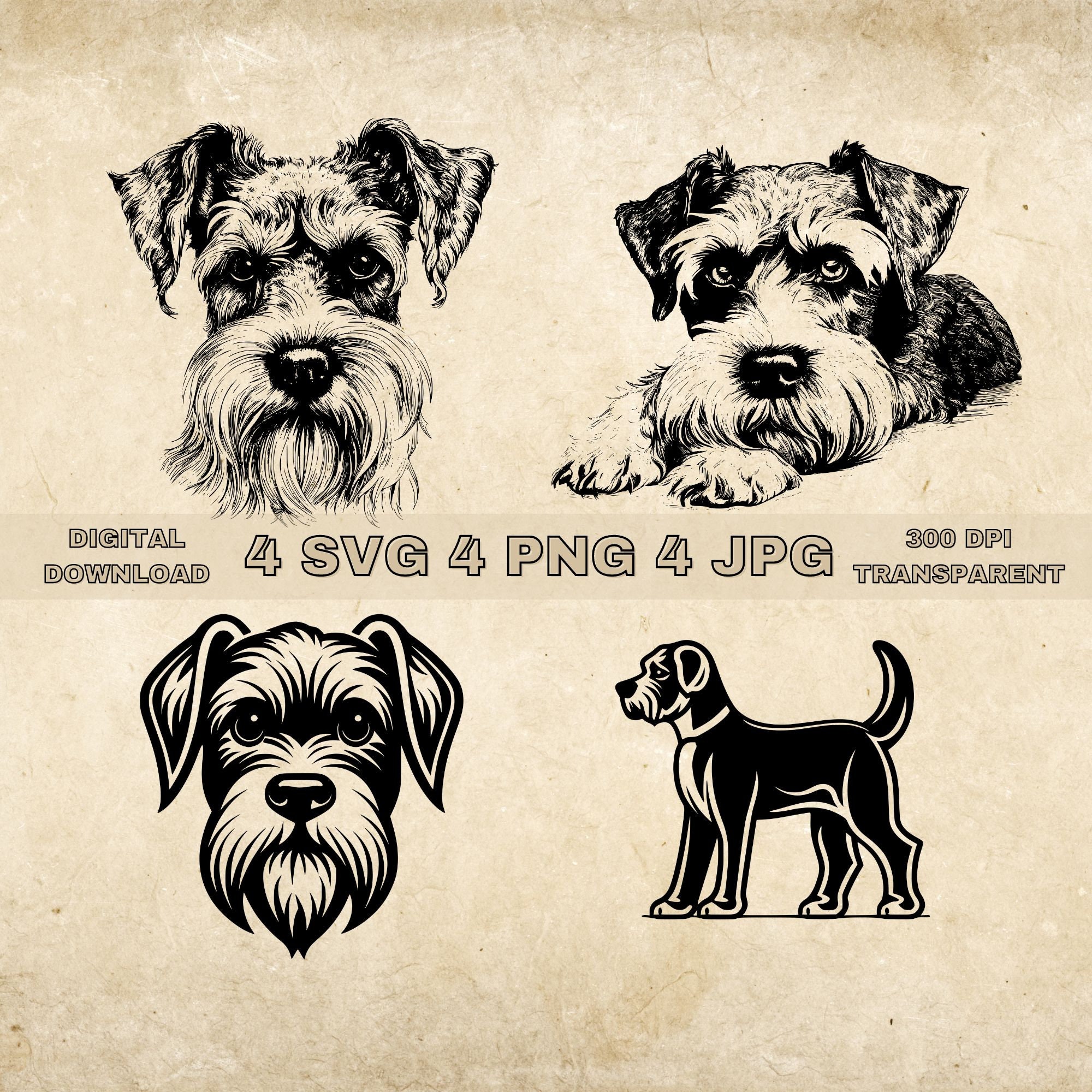 Schnauzer SVG Bundle PNG Cute Dogs Clipart Hand Drawn Dog - Etsy