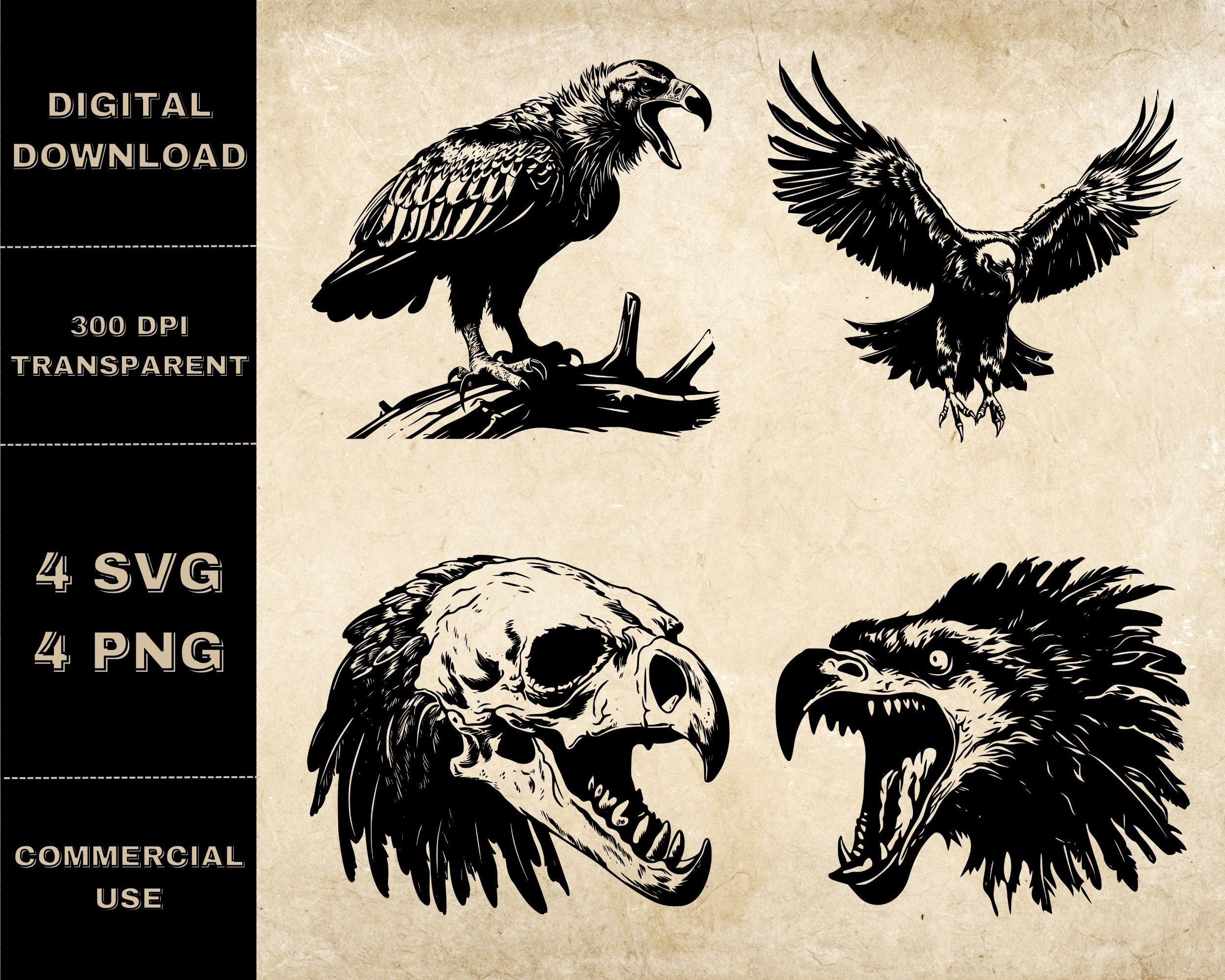 Vulture SVG Bundle PNG Vulture Clipart Hand Drawn Vulture - Etsy