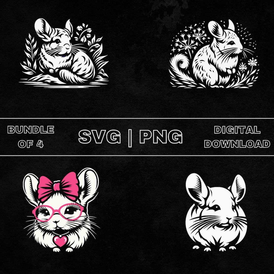 Chinchilla SVG Bundle, Chinchilla Clipart, Hand Drawn Chinchilla Lover ...