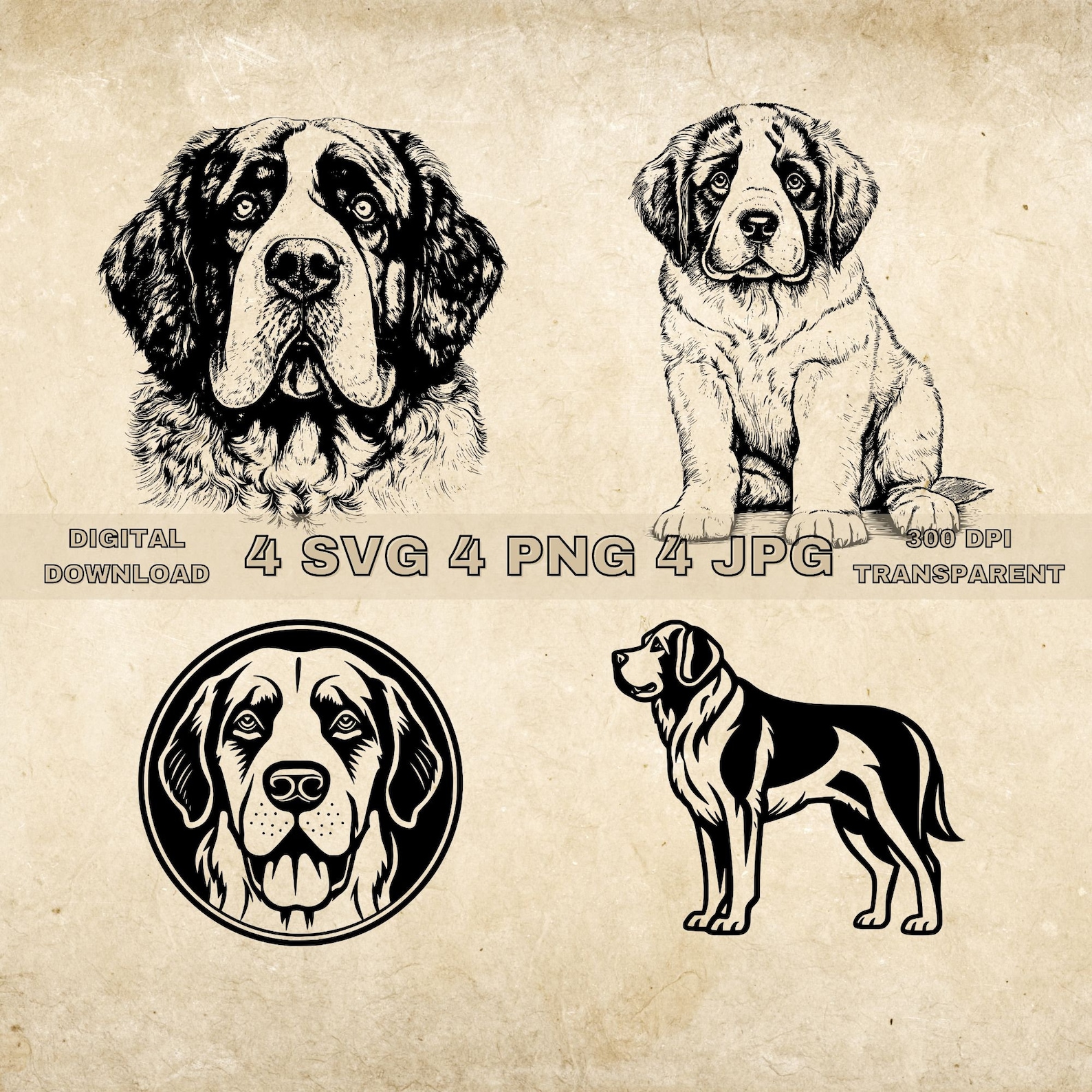 St. Bernard SVG Bundle PNG Saint Bernard Clipart Hand Drawn - Etsy