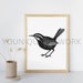 Wren SVG Bundle, PNG, Wren Clipart, Hand Drawn Birds Vector ...
