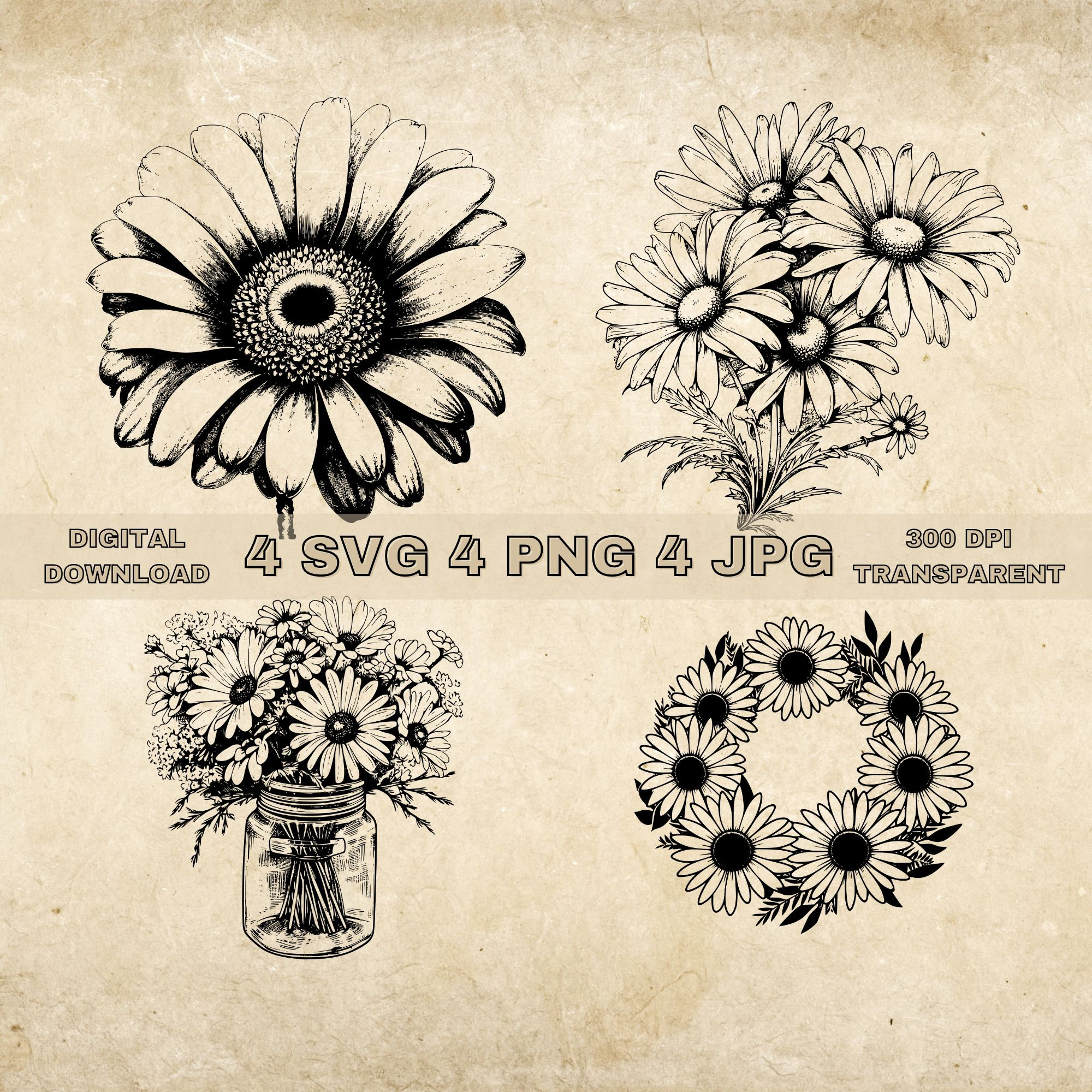 Daisy SVG Bundle PNG Daisies SVG Flower Clipart Cut Files - Etsy