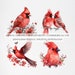 Red Cardinal Clipart Red Cardinal PNG Files for Sublimation - Etsy