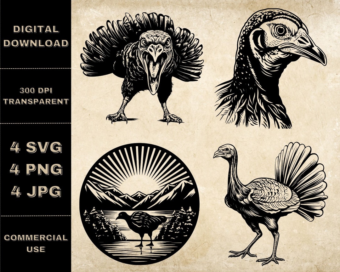Turkey SVG Bundle, PNG, Thanksgiving Turkey Clipart, Hand Drawn Turkey ...