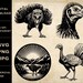 Turkey SVG Bundle, PNG, Thanksgiving Turkey Clipart, Hand Drawn Turkey ...