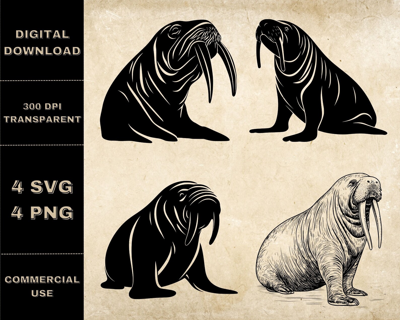Walrus SVG Bundle, PNG, Walrus Clipart, Hand Drawn Walrus Vector ...