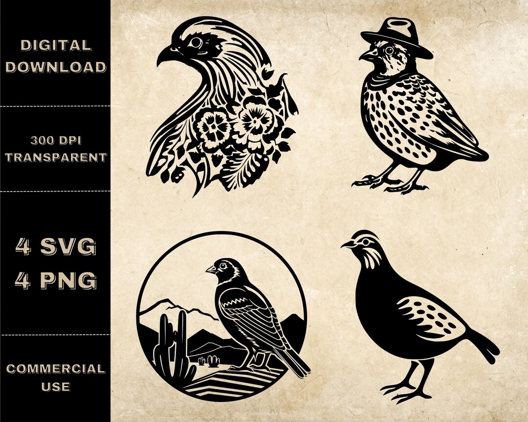 Quail SVG Bundle, PNG, Cute Bird Clipart, Hand Drawn Quail Vector ...