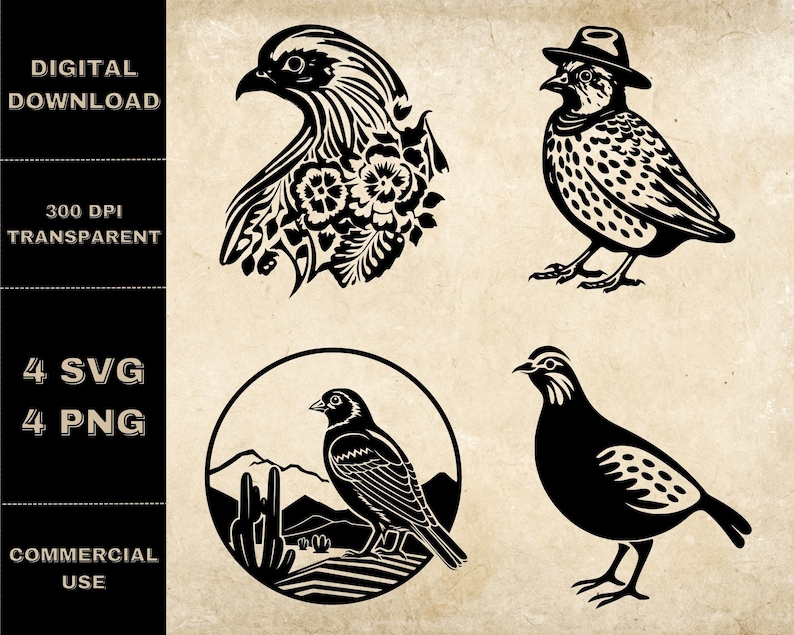 Quail SVG Bundle PNG Cute Bird Clipart Hand Drawn Quail - Etsy