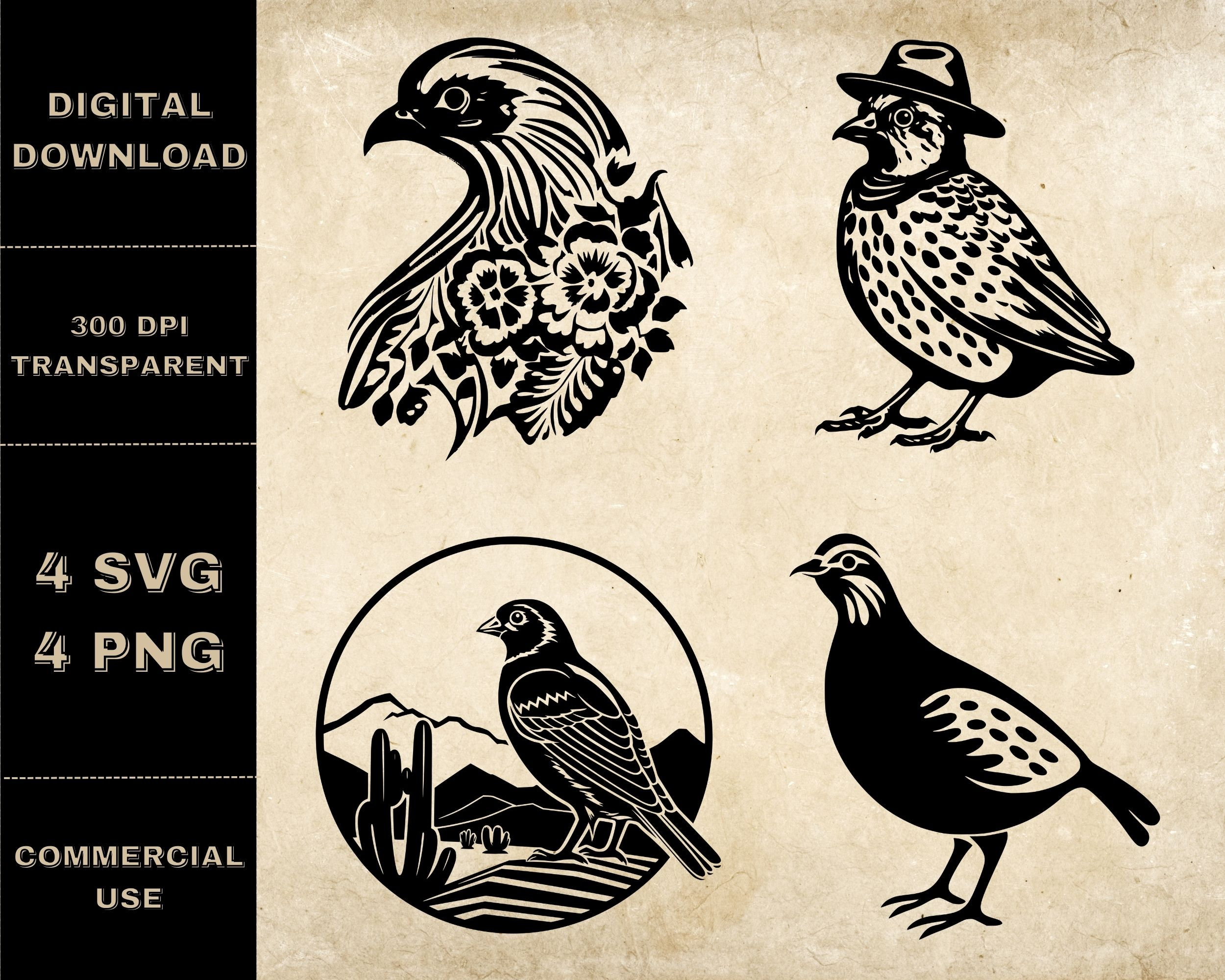 Quail Clipart Etc