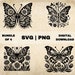 Floral Butterfly SVG Bundle, Butterflies Clipart, Hand Drawn Nature ...